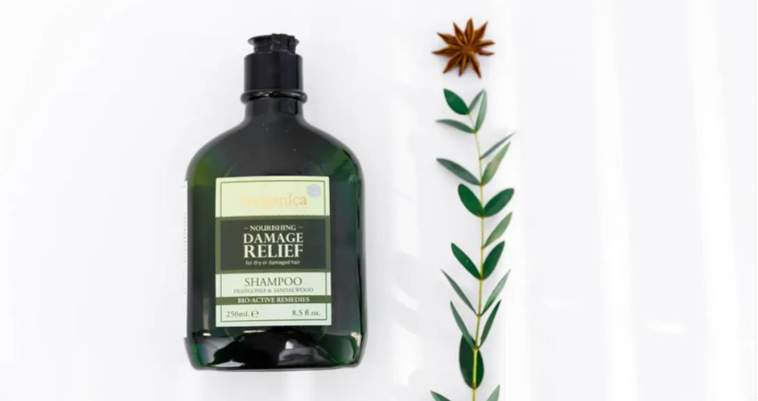 The top 5 organic shampoos for healthy and beautiful hair I Sassy Organics