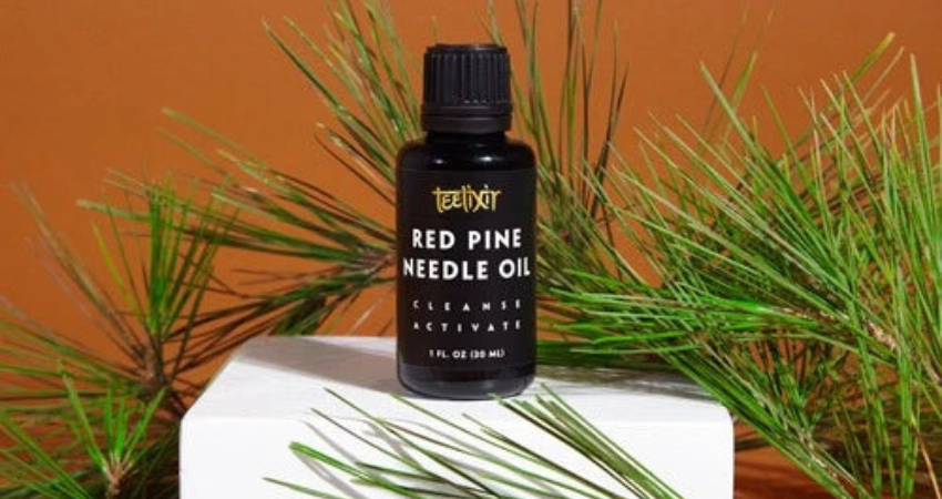 A long list of pine needle benefits I Sassy Organics