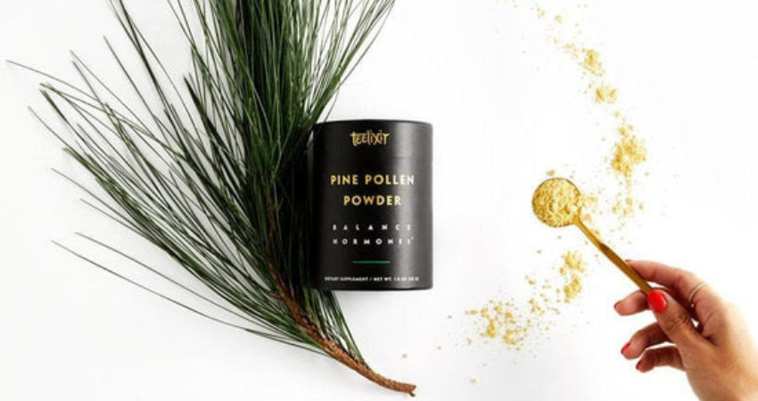 A long list of pine needle benefits I Sassy Organics